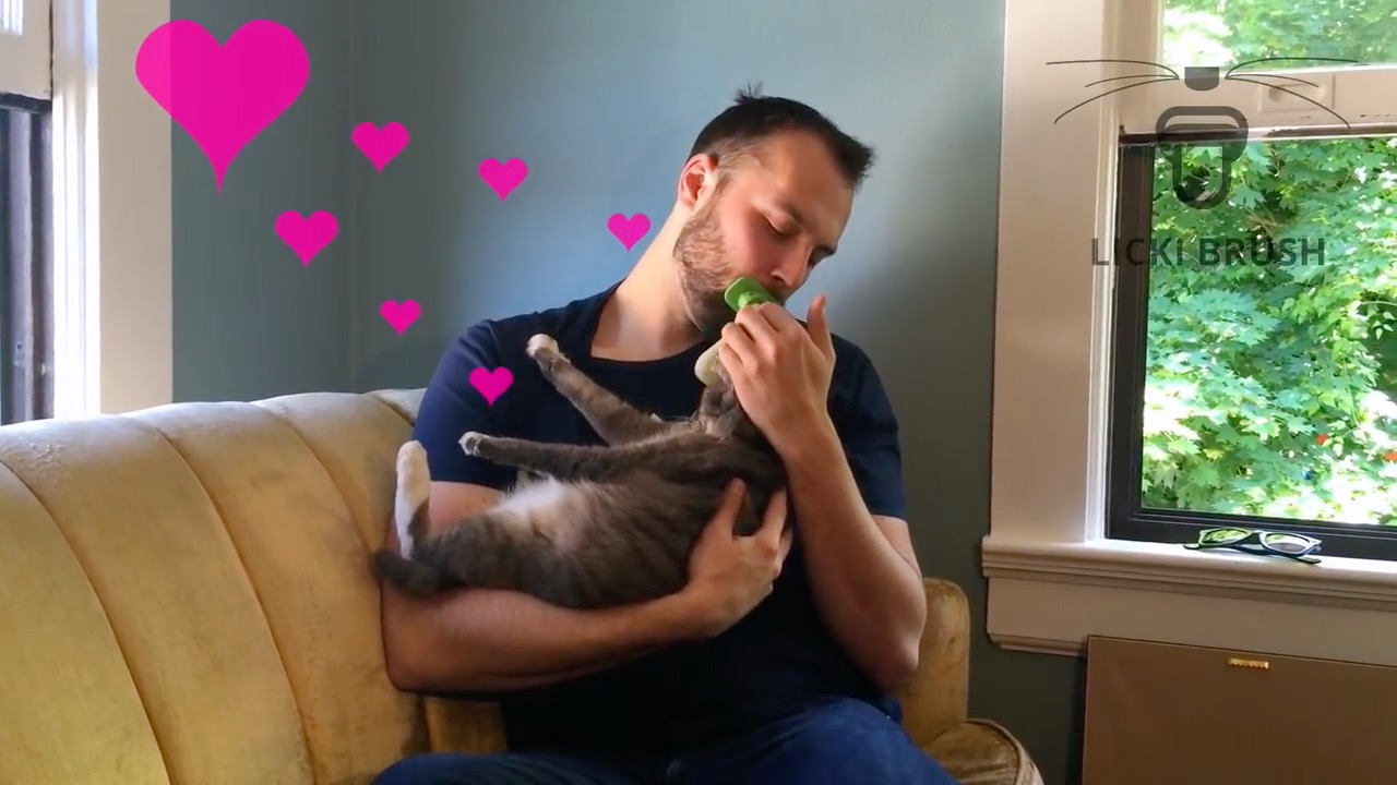 The Big Show - Video of the Day - Crazy Cat People's Product of the Year