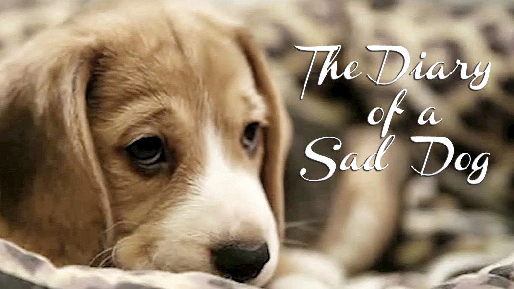 The Big Show - Video of the Day - The Diary of a Sad Dog