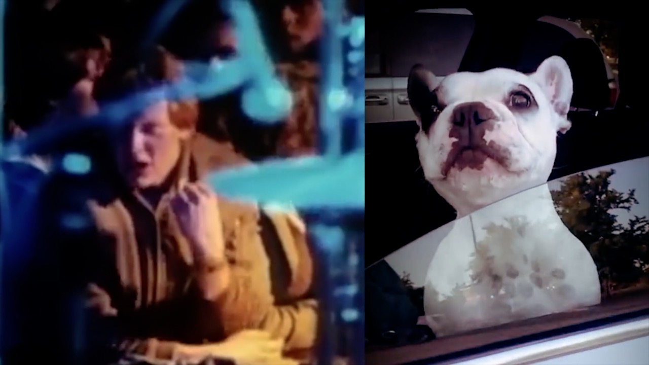 The Big Show - Video of the Day - Walter the French Bulldog Sings Roxanne