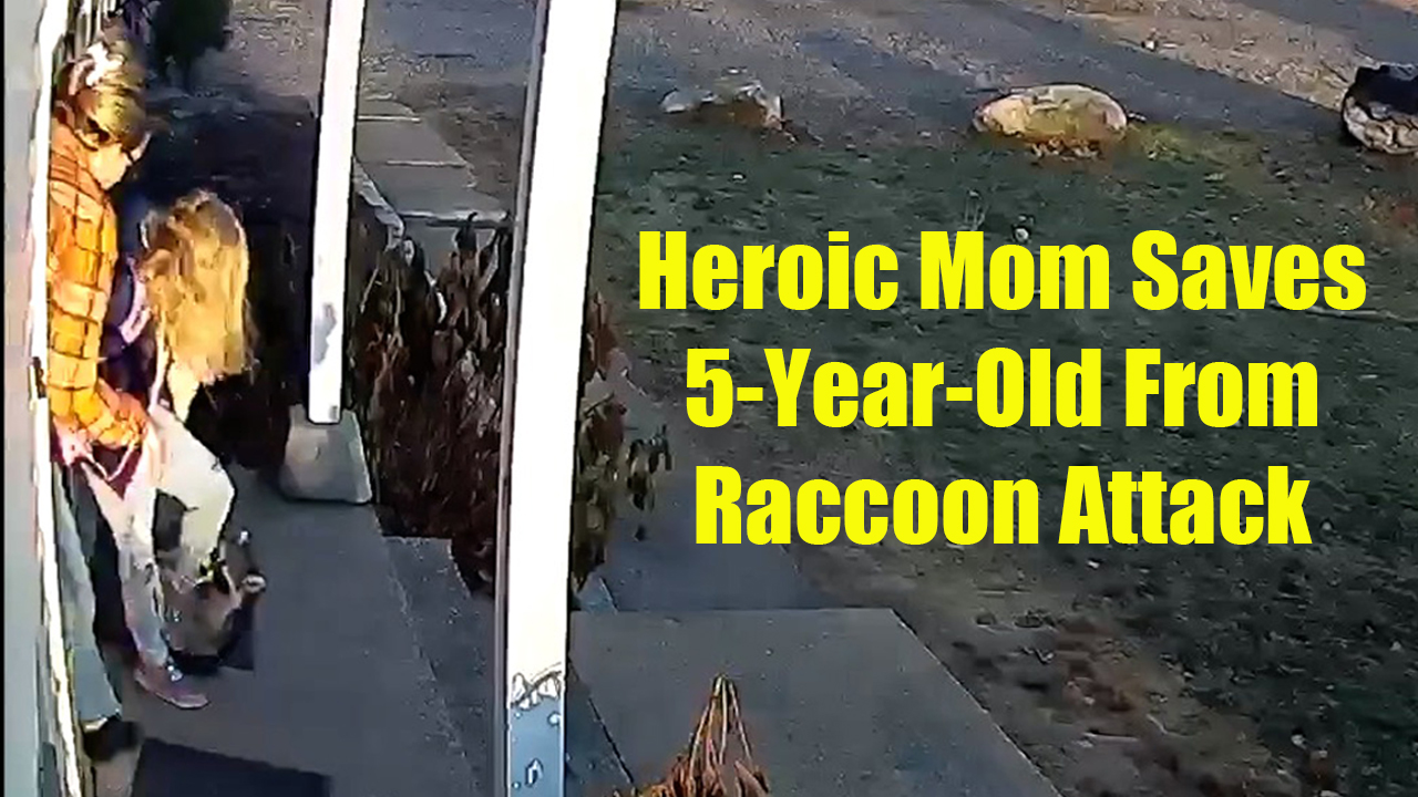 The Big Show - Video of the Day - Heroic Mom Saves 5-Year-Old From ...